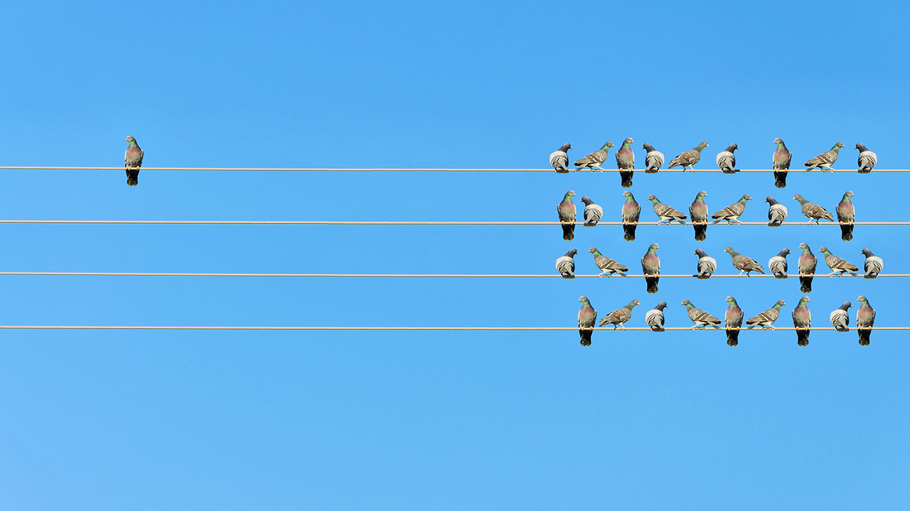 stand-out-crowd-birds-on-wire – StrategicAmpersand Inc.